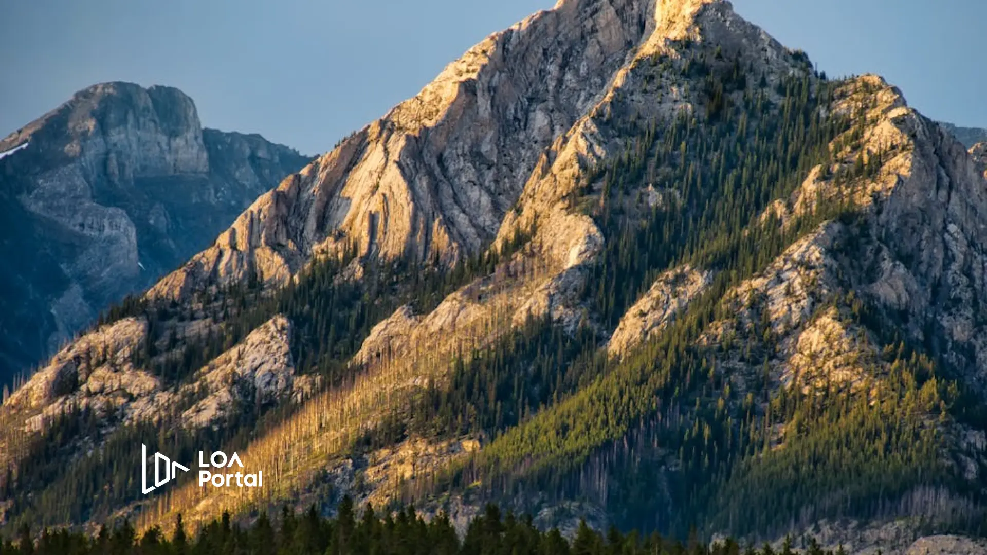 MITT Officially Closes: When Educational Models Collapse Under Policy ...